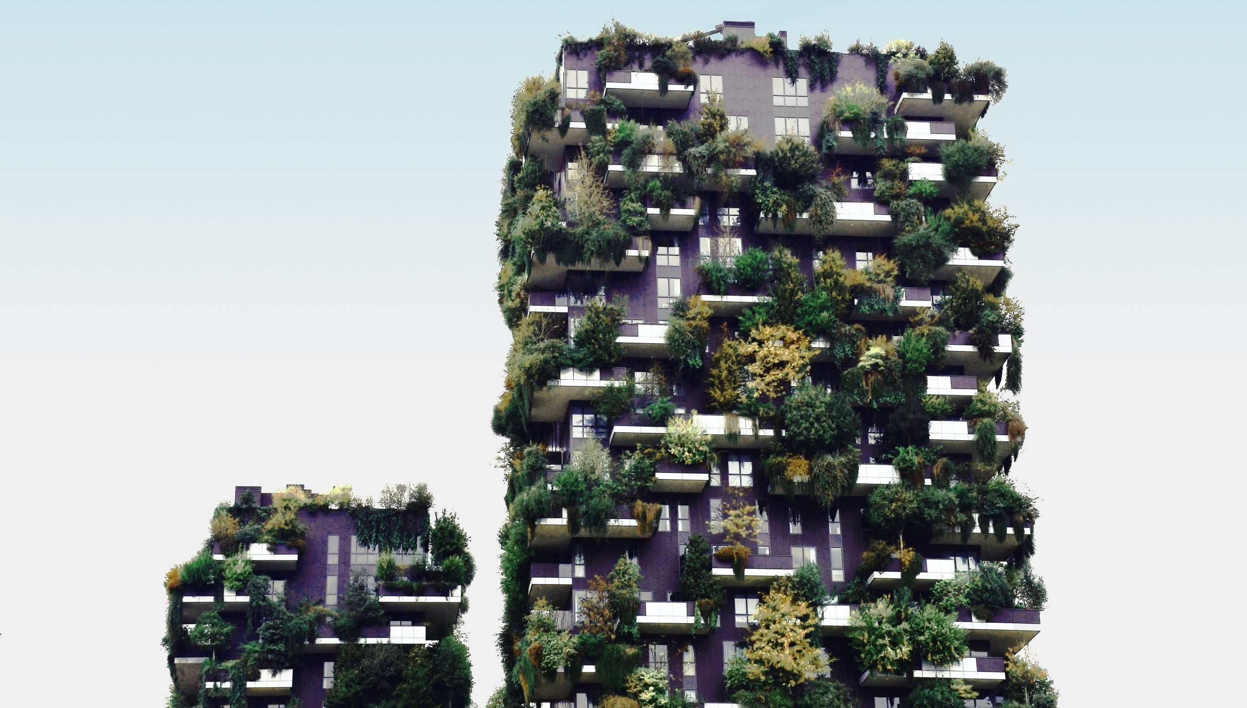 Green recovery: over 20 million jobs to be created - WIN World